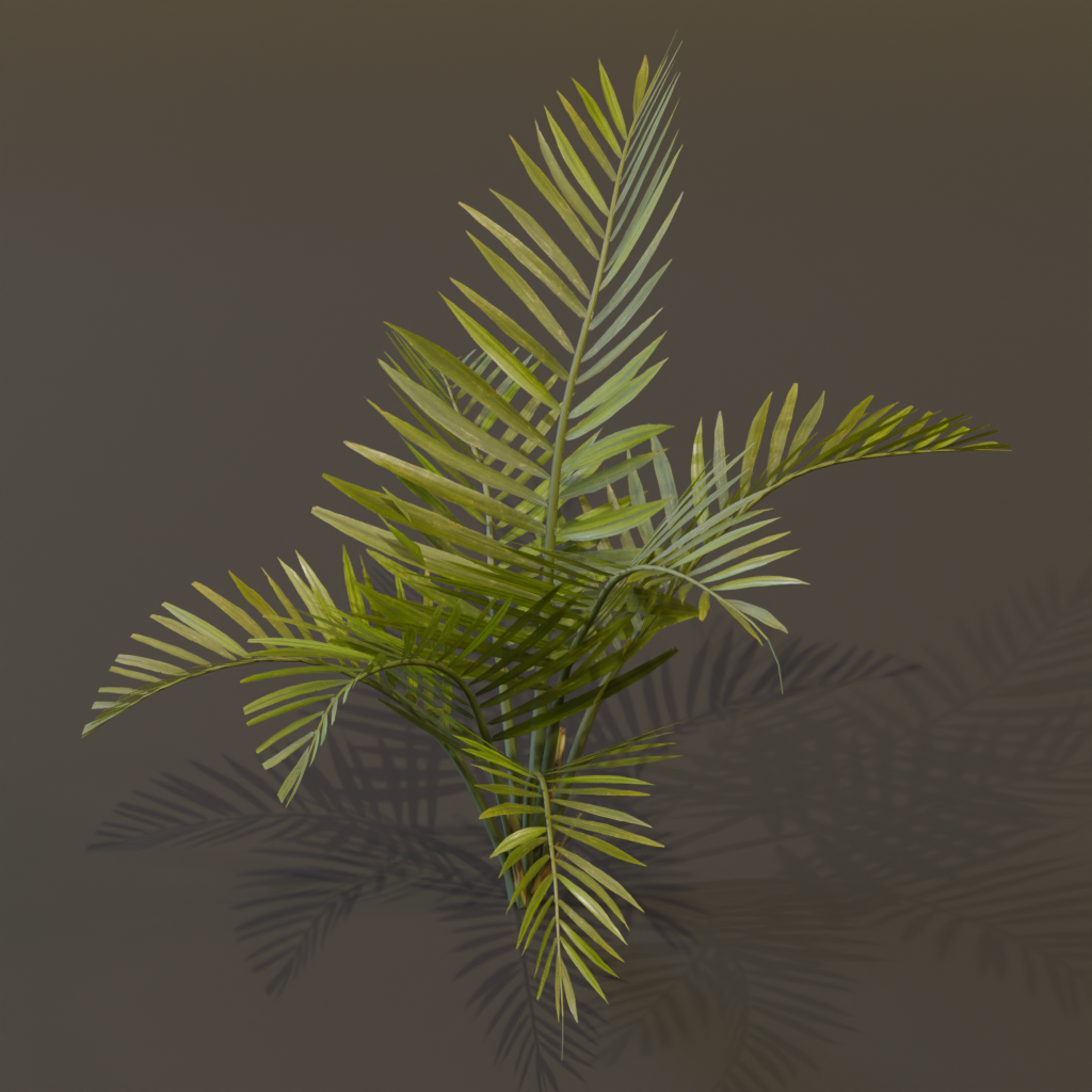 Alexandra Palm Plant Big | Outdoor Plants models | BlenderKit