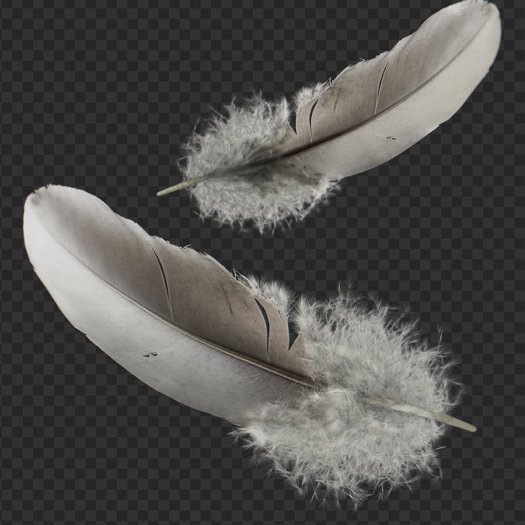 Angel Wings | FREE Birds models | BlenderKit