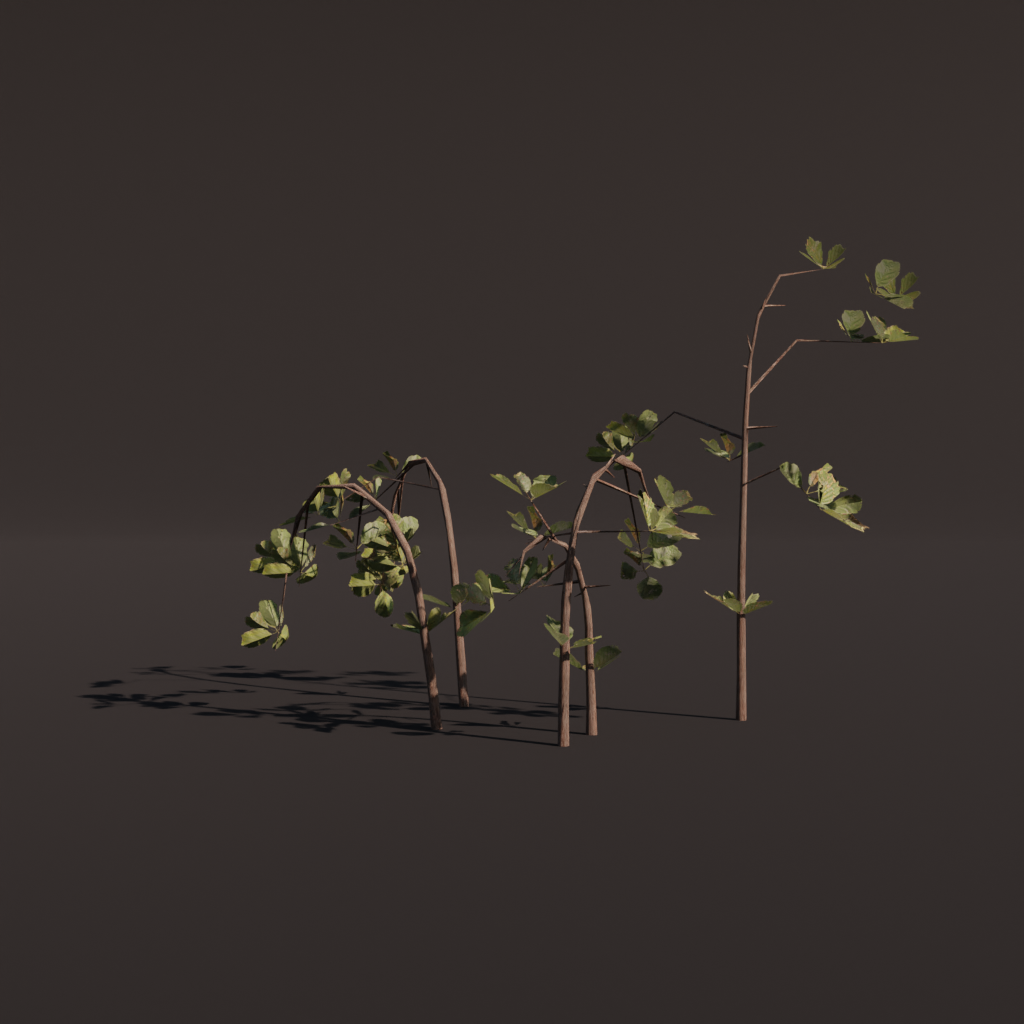Tree Alder d1 Sapling | Trees models | BlenderKit
