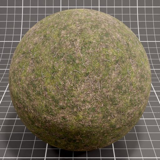 Ground forest | FREE ground materials | BlenderKit