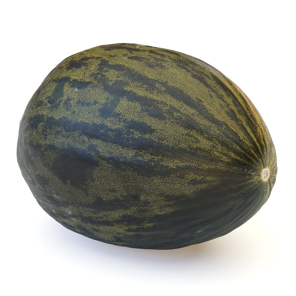 Santa Claus melon Christmas Piel de Sapo | Fruit & Vegetables models ...