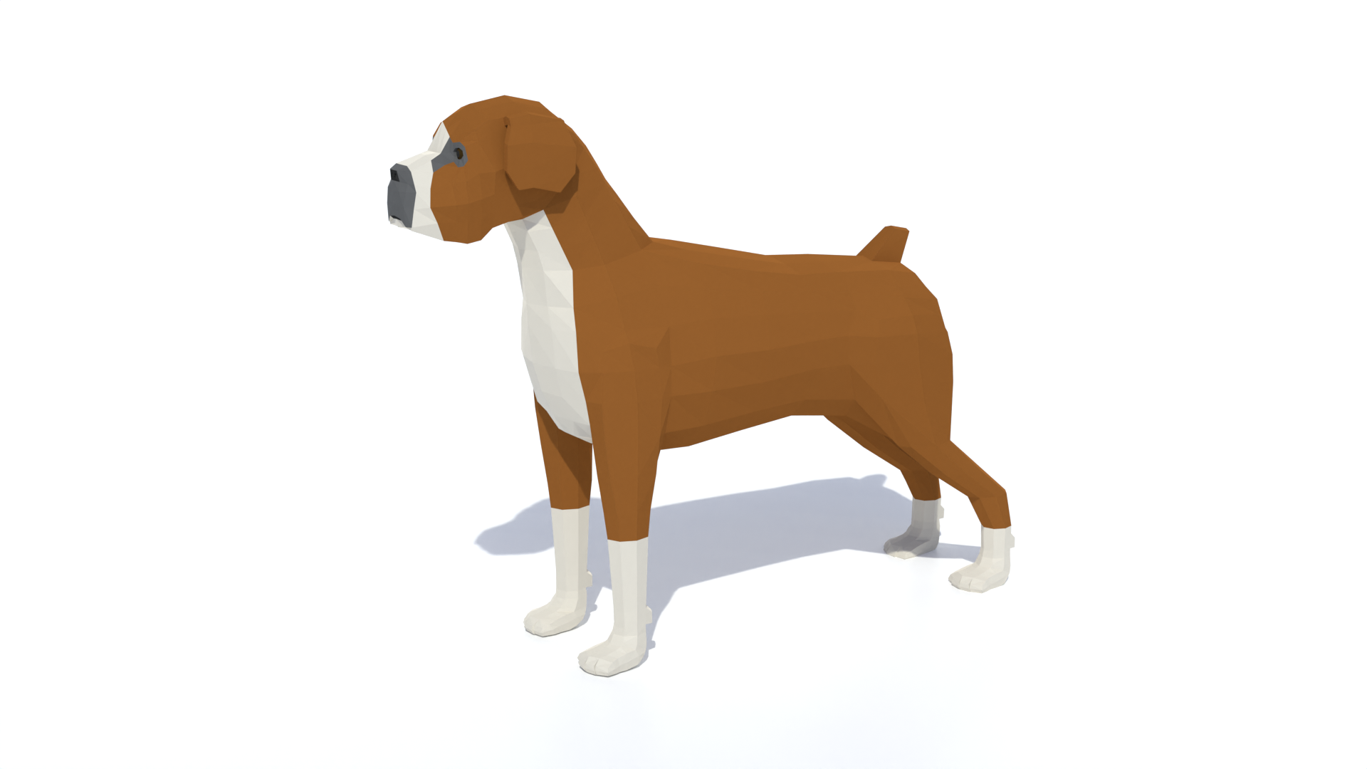 Low Poly Boxer Dog | Mammals models | BlenderKit