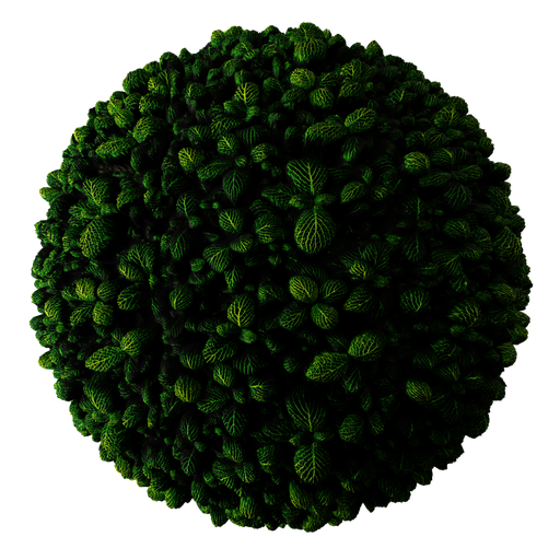 Plant Leaves Green | FREE organic materials | BlenderKit