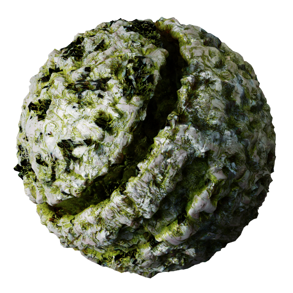 Smooth Beach Rock Seaweed | FREE stone materials | BlenderKit