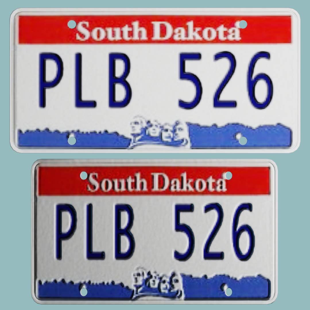 South Dakota Licence plate PL | FREE Vehicle Parts models | BlenderKit