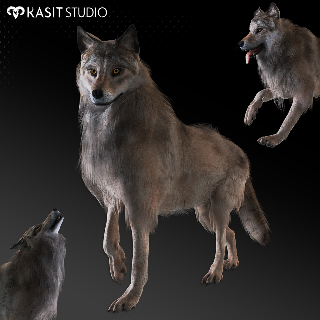 Wolf (animated , rigged) | Mammals models | BlenderKit