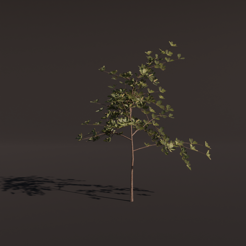Tree Alder c2 Small | Trees models | BlenderKit
