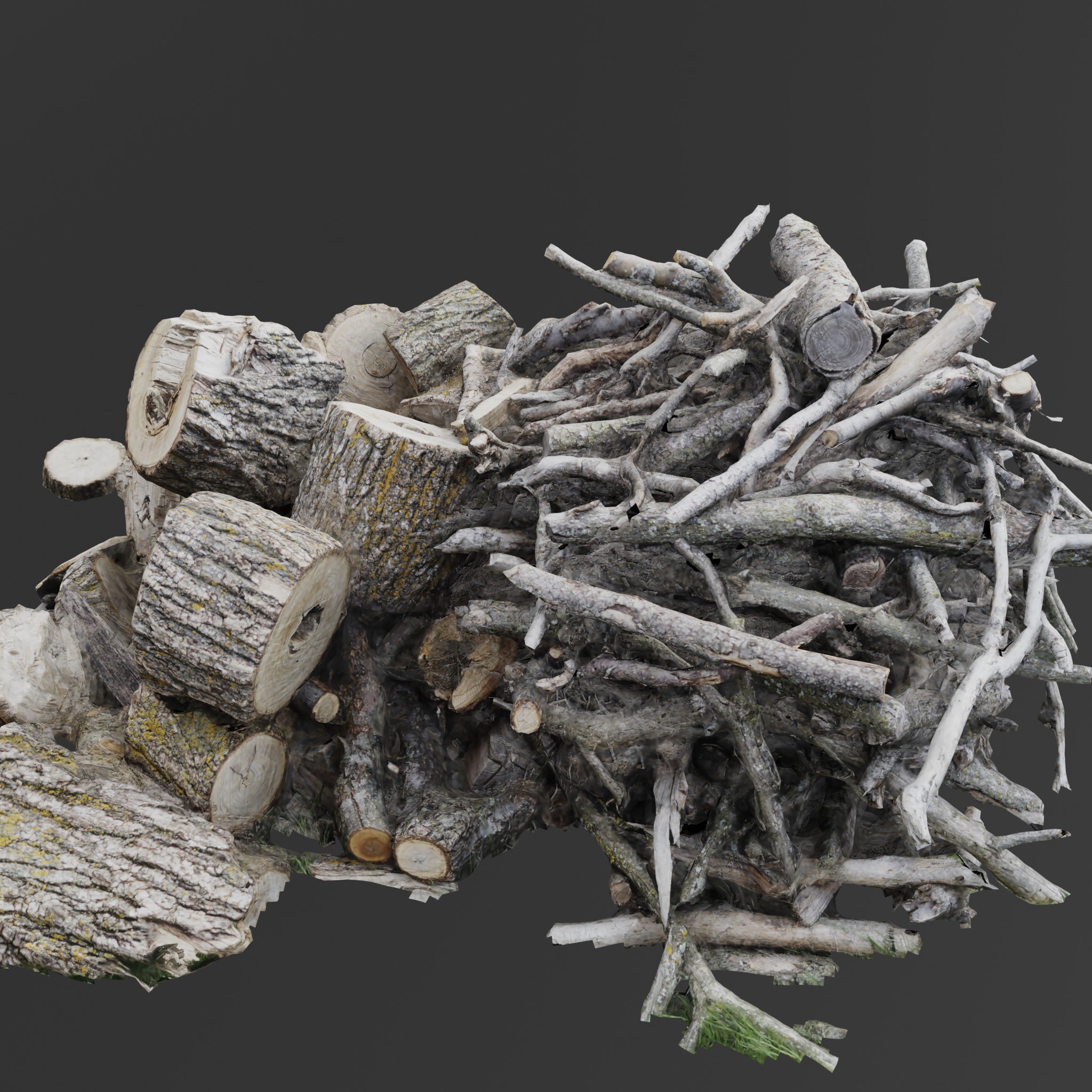 Pile of Sticks and Logs 02 | FREE Environment Elements models | BlenderKit