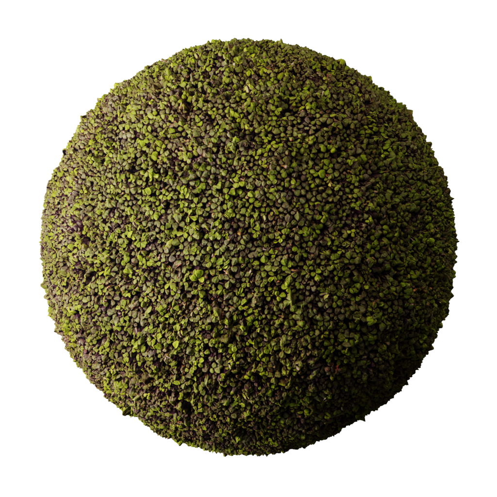 Clover Grass | FREE grass materials | BlenderKit