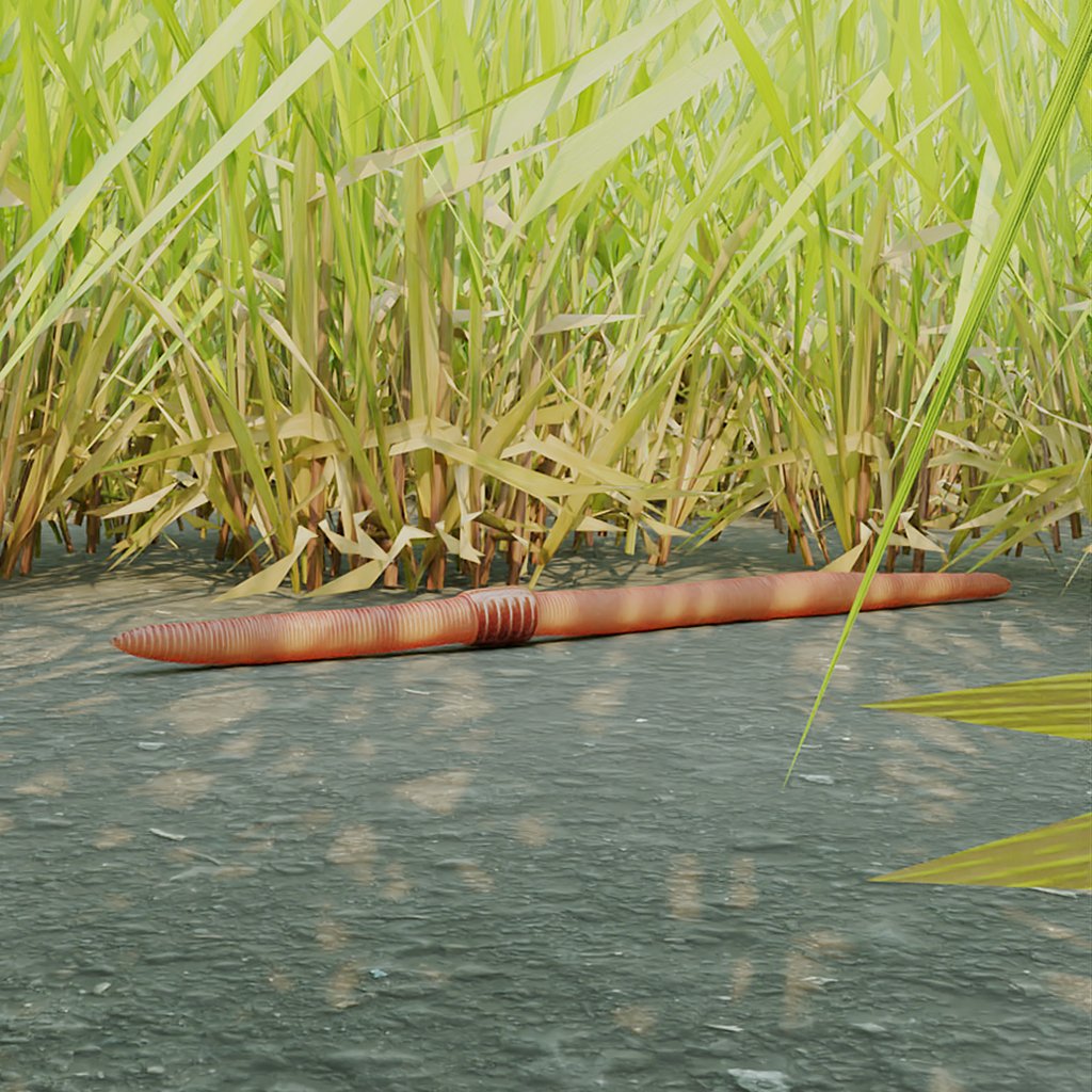 Earthworm - animated | Animals models | BlenderKit