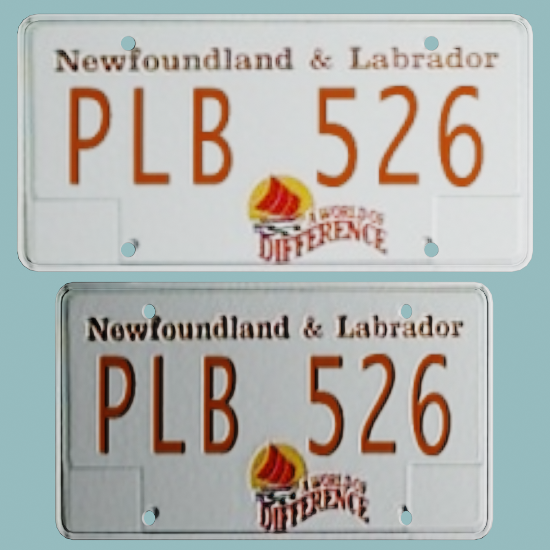 Newfoundland Licence plate PL | FREE Vehicle Parts models | BlenderKit