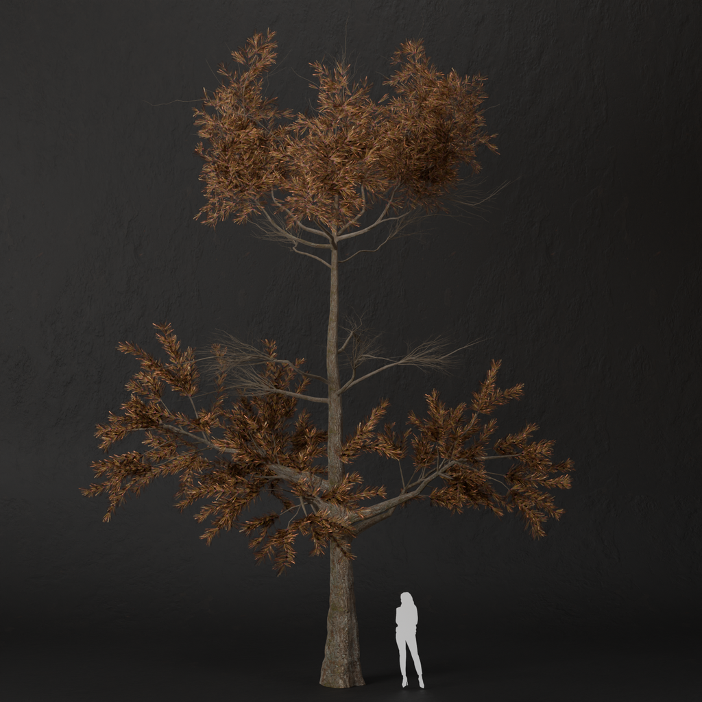 SJ-Autumn Stillness Pine Tree | Trees models | BlenderKit