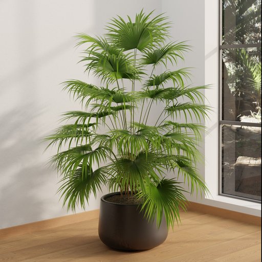 Indoor Fan Palm Plant | Indoor Plants models | BlenderKit