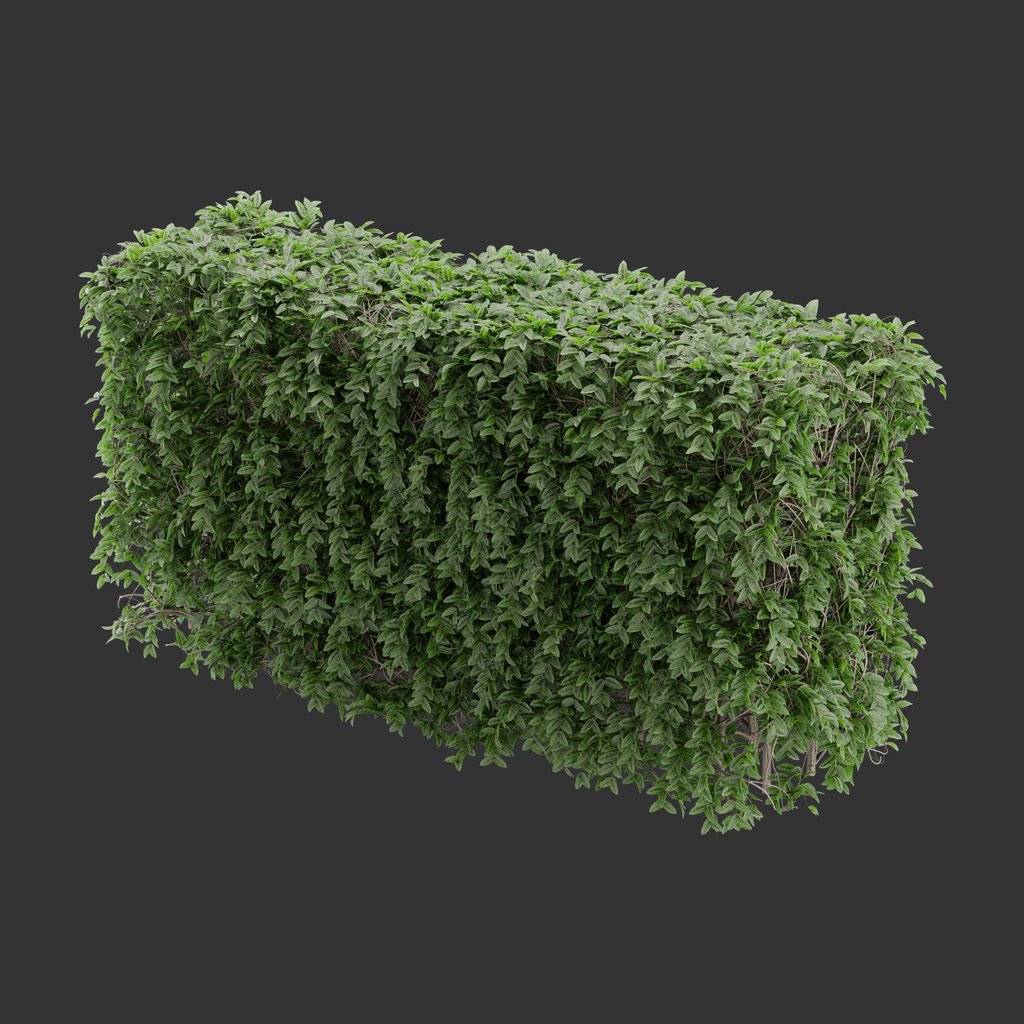 Hedge bush Autumn Plant | Outdoor Plants models | BlenderKit