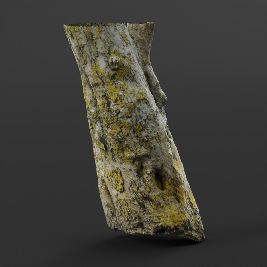 Apple Tree Trunk 01 | FREE Trees models | BlenderKit