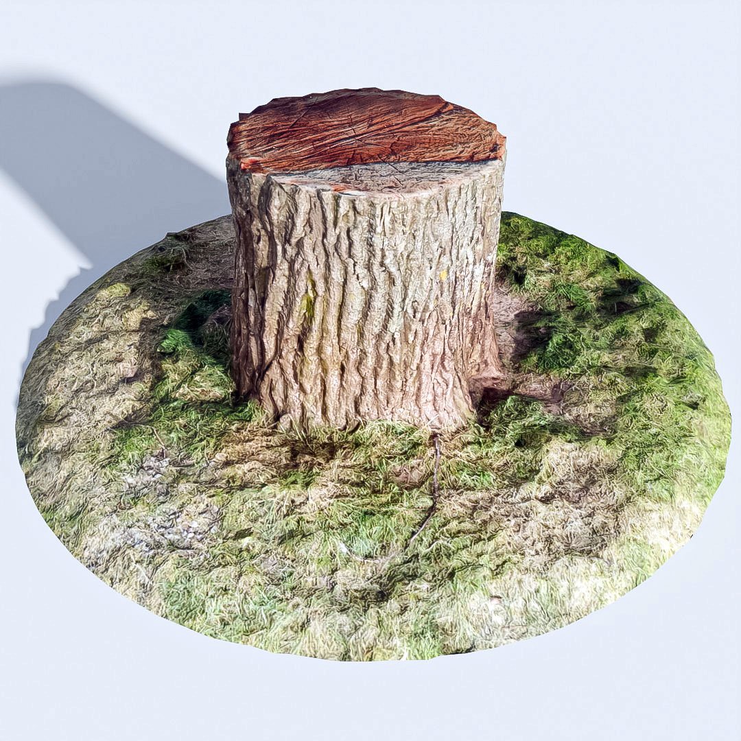 Tree Stump | Trees models | BlenderKit
