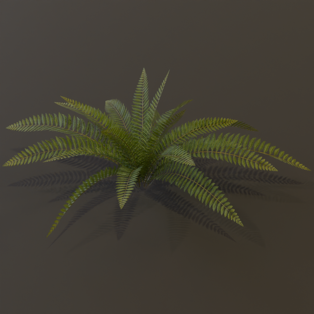 Wild Fern Medium | Outdoor Plants models | BlenderKit