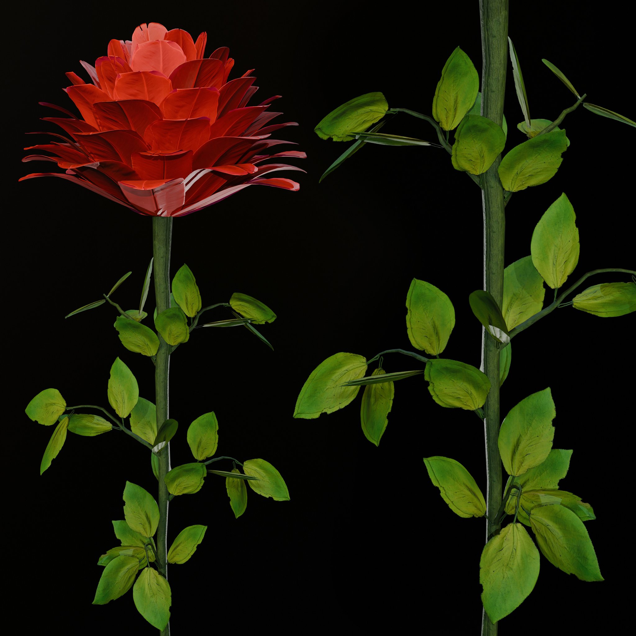 Red rose flower | FREE Plants models | BlenderKit