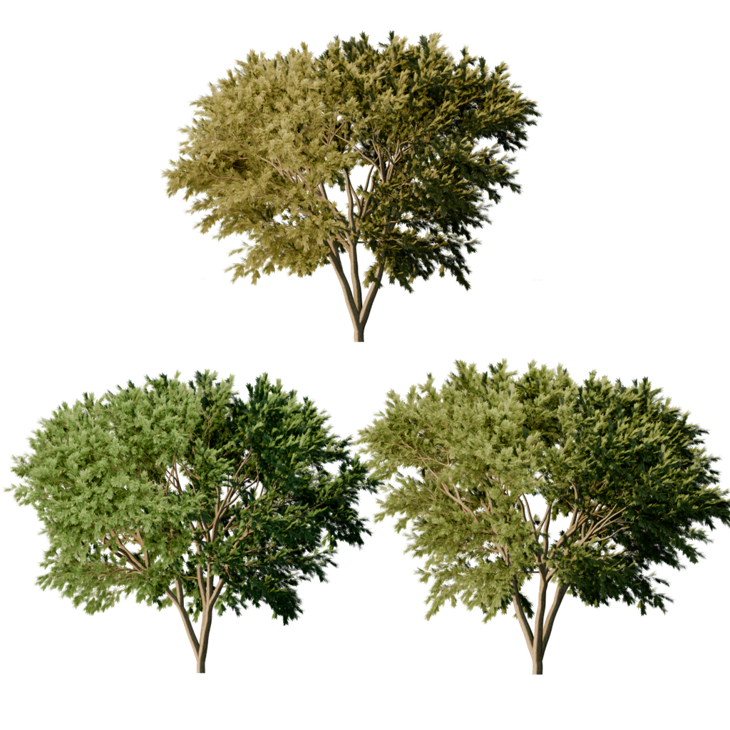 Fake Trees | FREE Trees models | BlenderKit