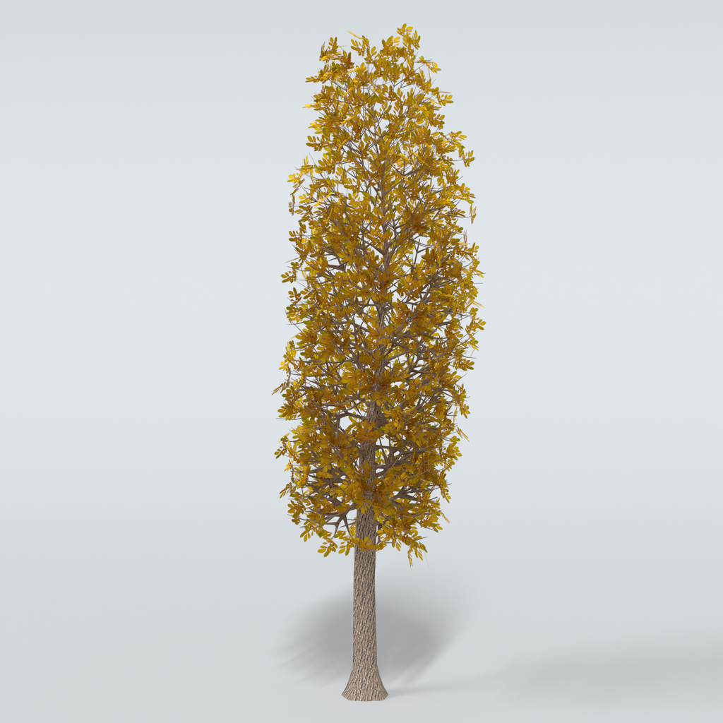 Forest Tree | Trees models | BlenderKit