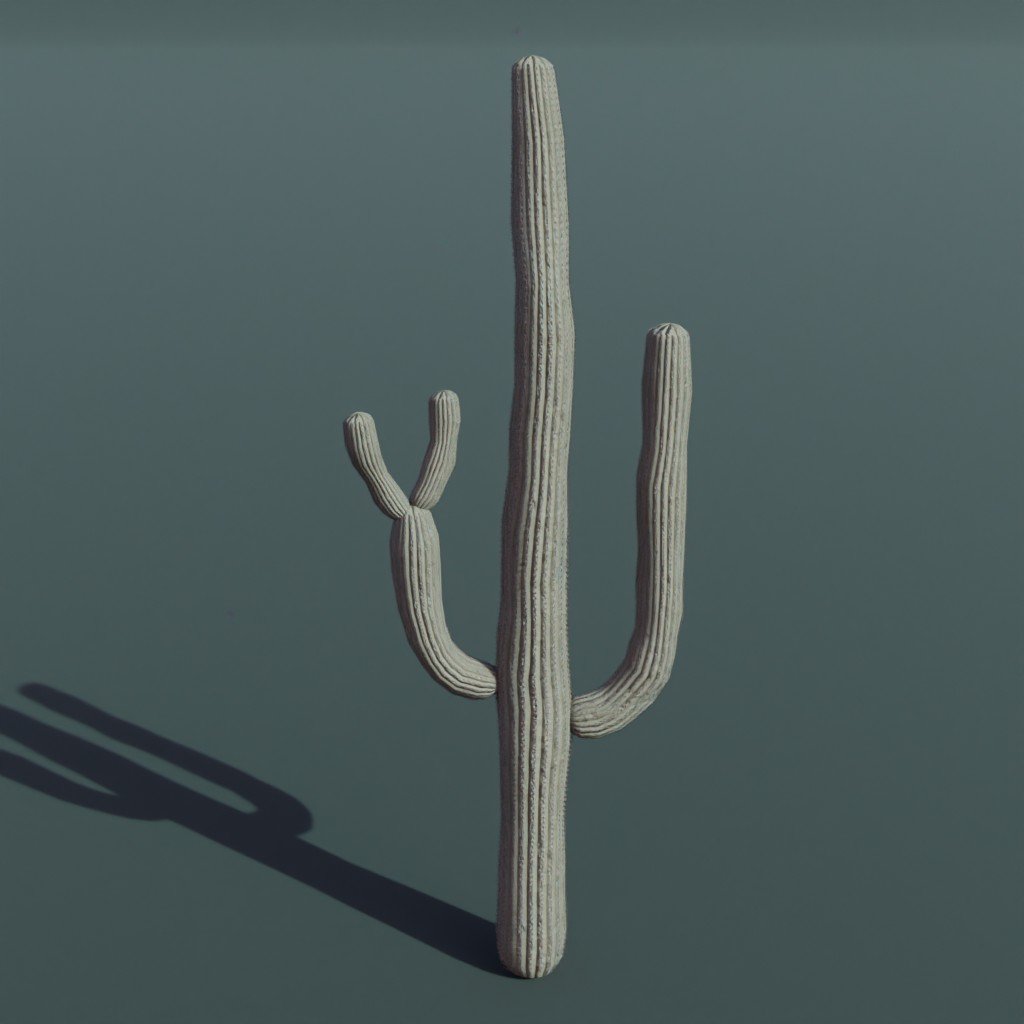 Plant Cactus Saguaro Dry Medium | Outdoor Plants models | BlenderKit