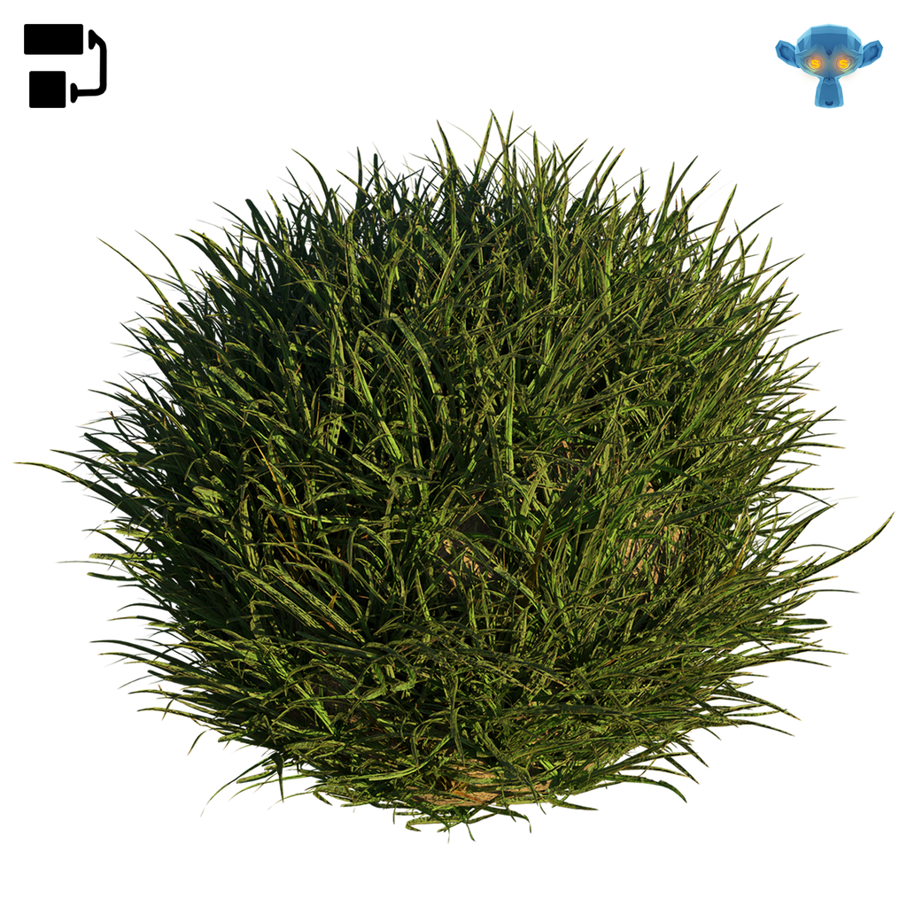 Grass | FREE Grass models | BlenderKit