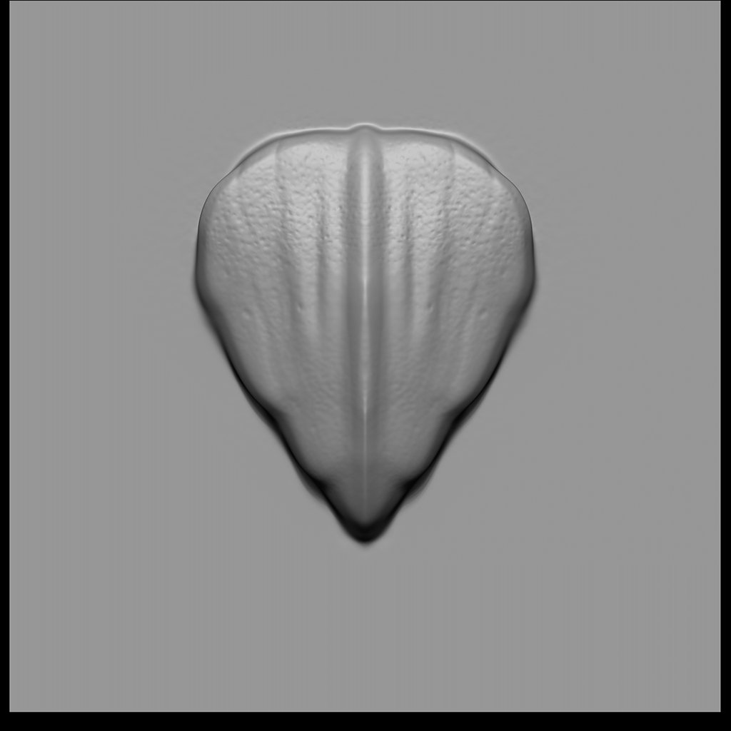 NS Sea Creature scale simple | Scales brushes | BlenderKit