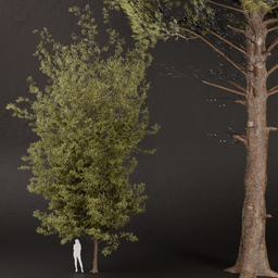 SJ-Realistic Pine Forest Set | FREE Trees models | BlenderKit