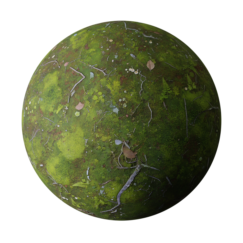 Forest Floor Moss | FREE ground materials | BlenderKit