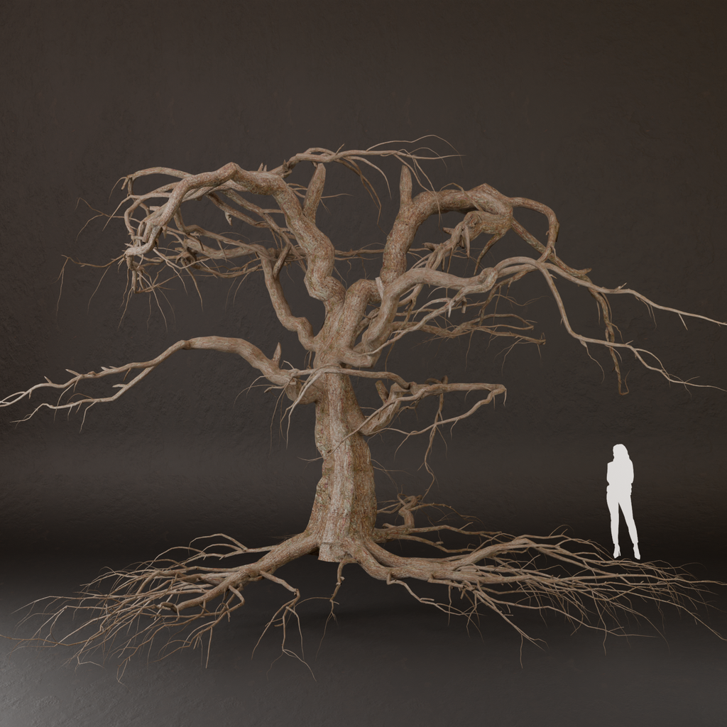 SJ Rooted Dry Tree Model | Trees models | BlenderKit
