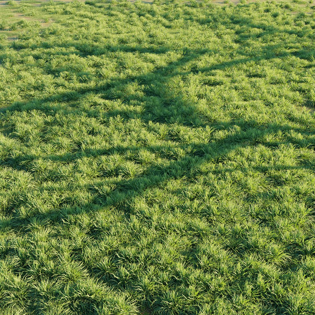 Stylised grass | FREE Grass models | BlenderKit