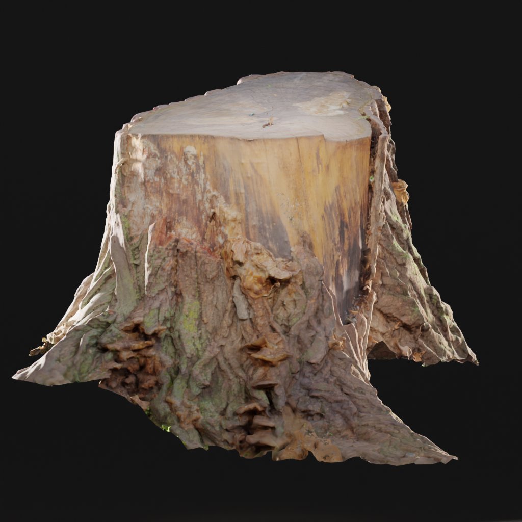 An old stump with cracked bark | FREE Environment Elements models | BlenderKit
