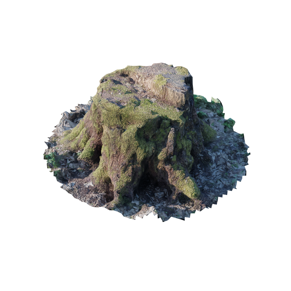 Stump 5 | Trees models | BlenderKit