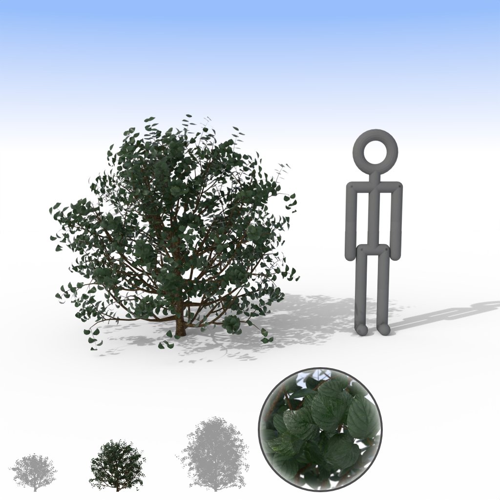 Dark Shiny Leaf Bush - Medium | Outdoor Plants models | BlenderKit