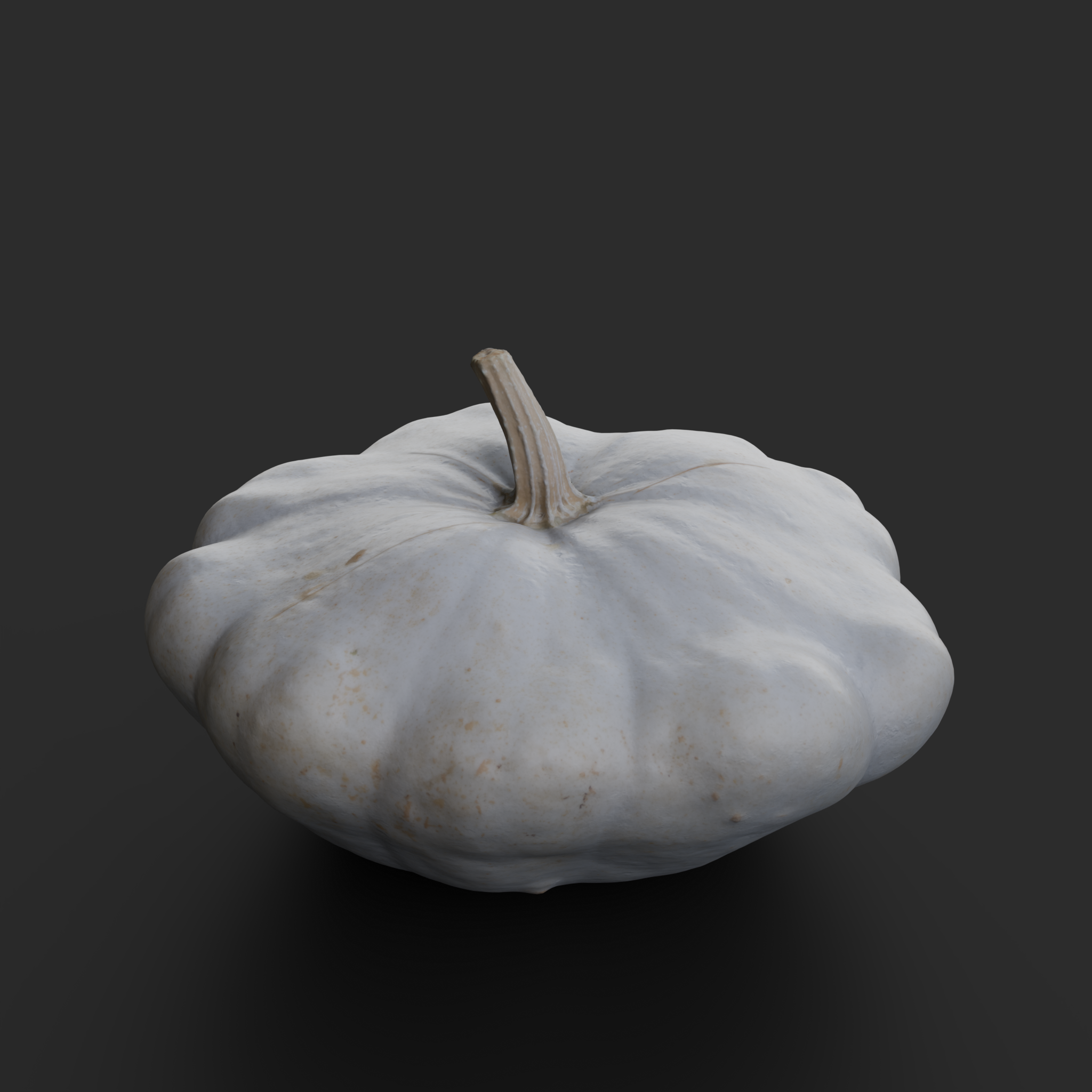 Pattypan Squash 1 | Outdoor Plants models | BlenderKit