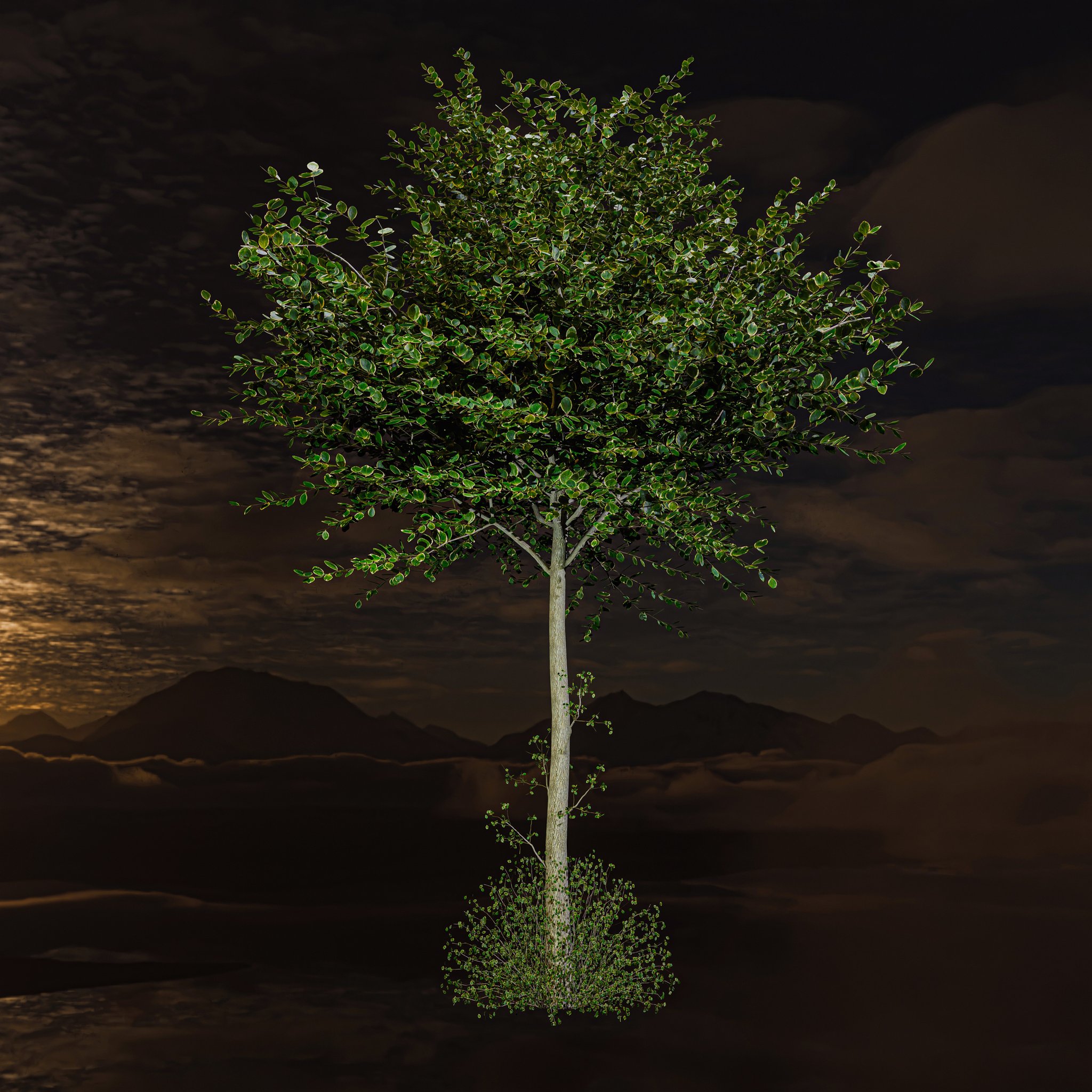 Small mort shrub | Trees models | BlenderKit