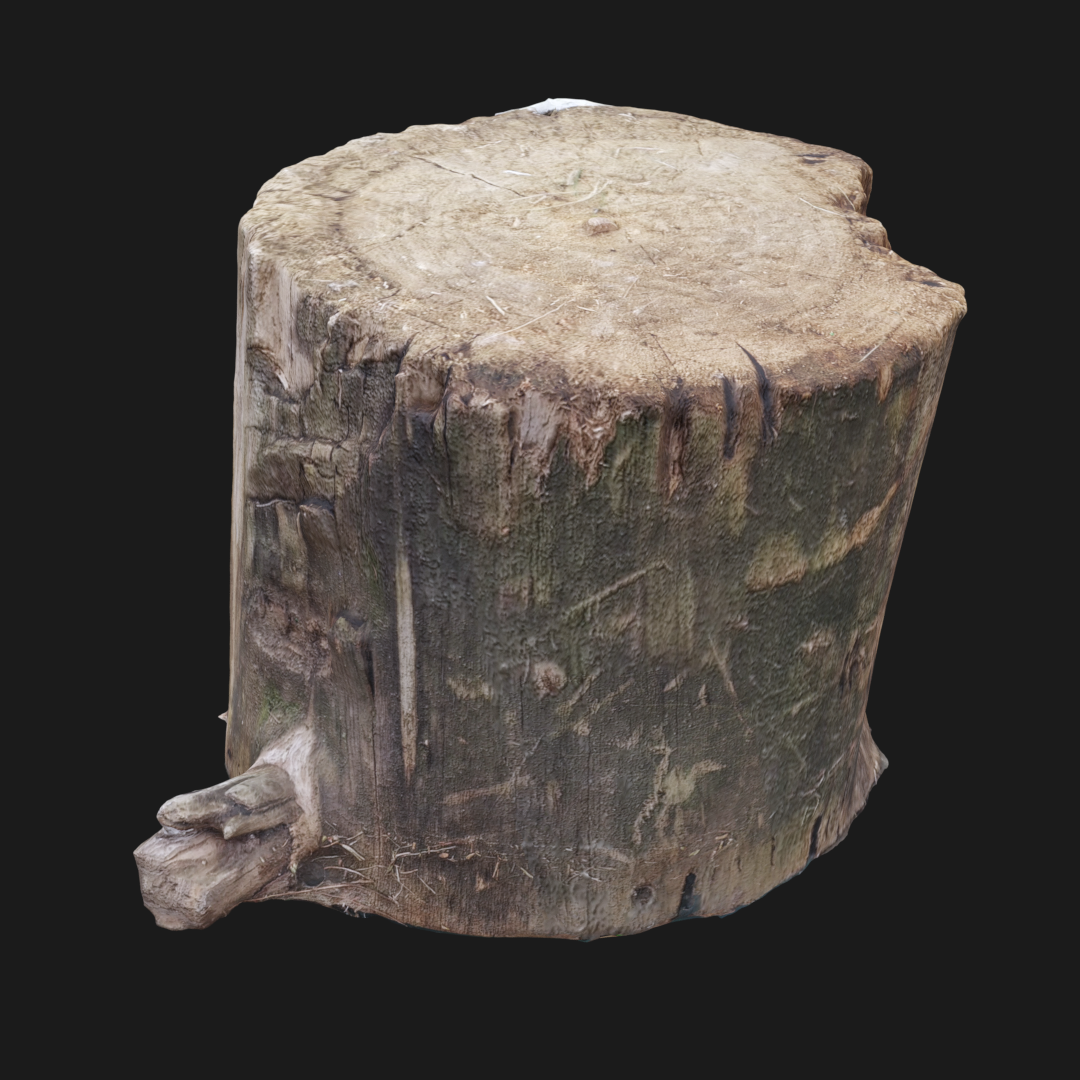 Photoscanned wood log 001 | FREE Environment Elements models | BlenderKit