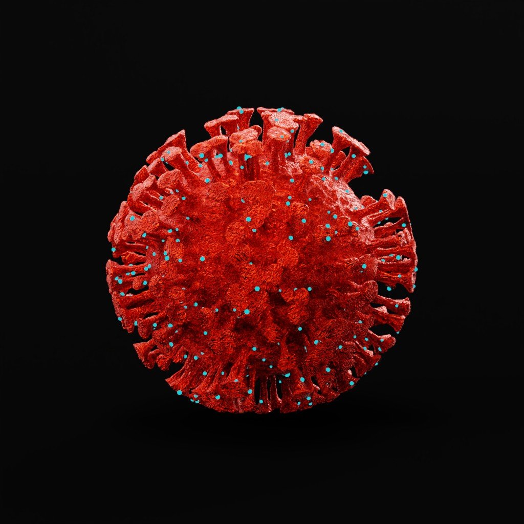 Covid 19 model | FREE Microbiology models | BlenderKit