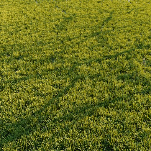 Stylised grass | FREE Grass models | BlenderKit