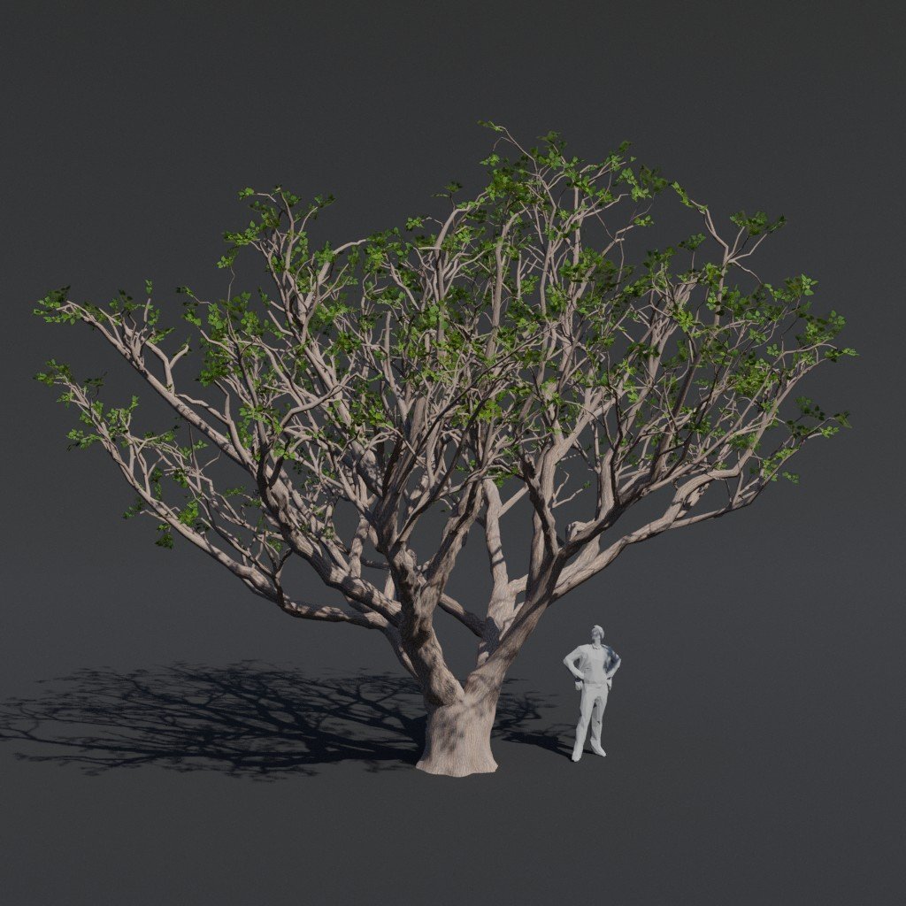 Cut log 04 - remeshed photoscan | FREE Trees models | BlenderKit
