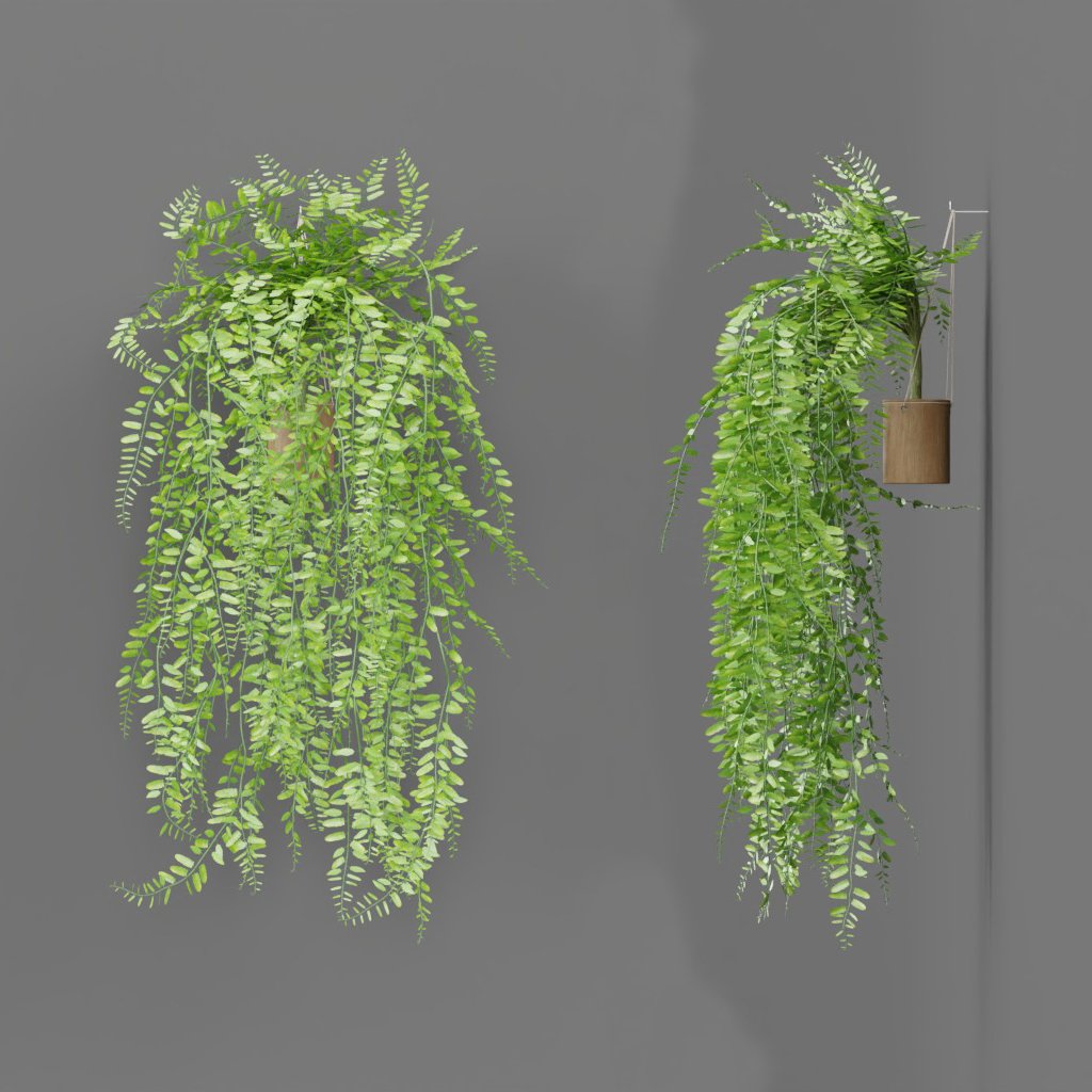Wall-Hanging Boston Fern Decor | Indoor Plants models | BlenderKit