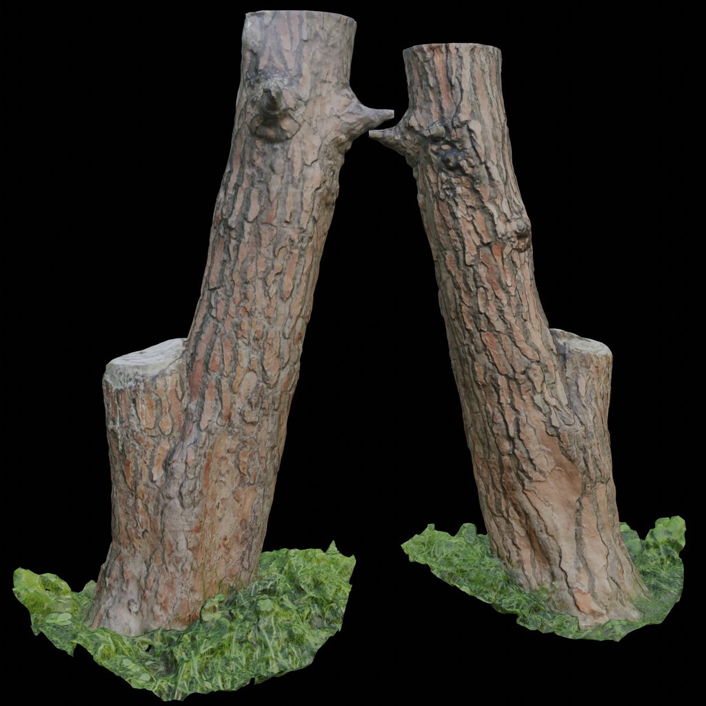 Scan tree | FREE Trees models | BlenderKit