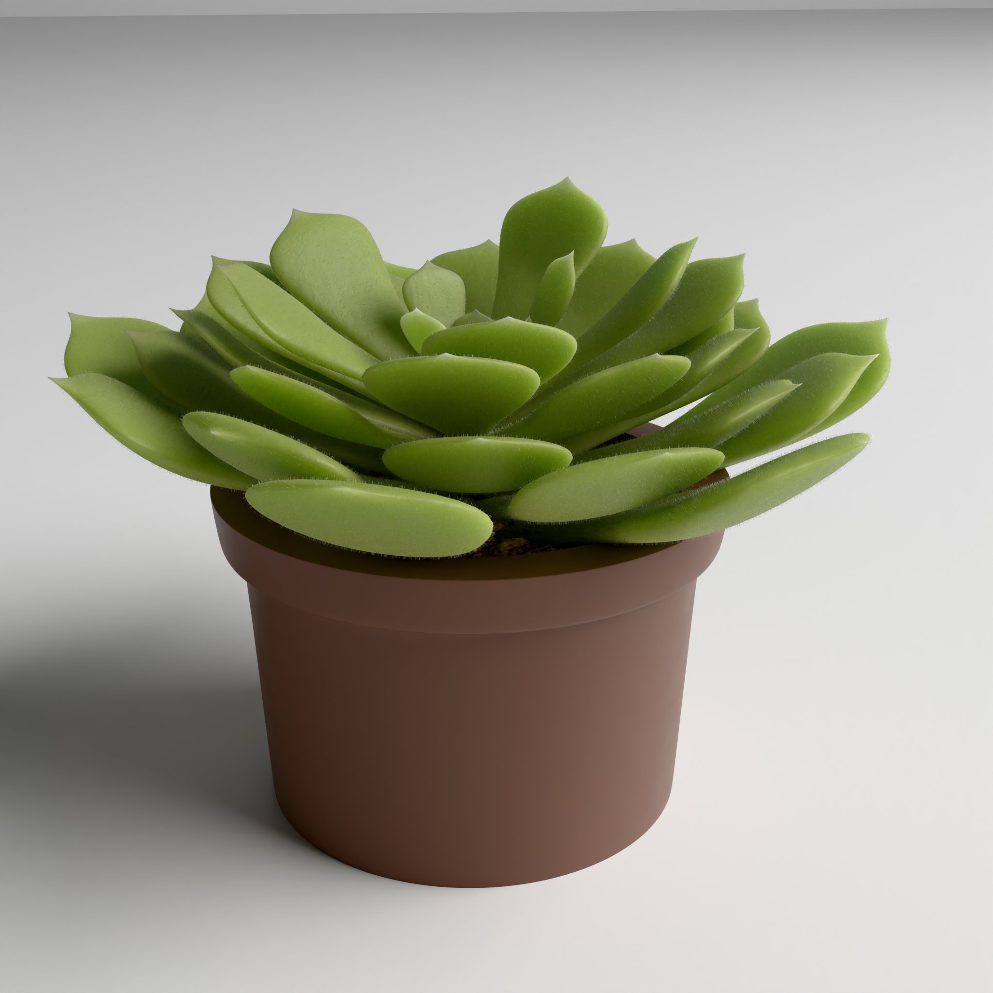 Potted succulent | FREE Interior Decorations models | BlenderKit
