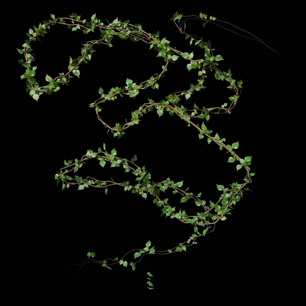Climbing Vine - Leaf 15 | FREE Modifiers models | BlenderKit