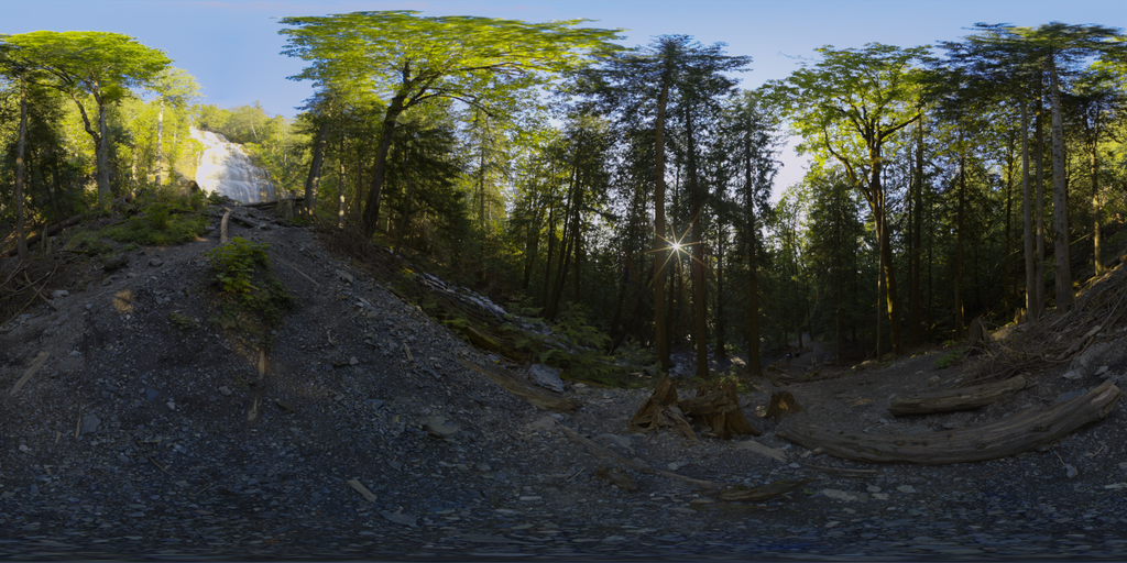 Trees in Forest by Waterfall | FREE Nature HDRis | BlenderKit