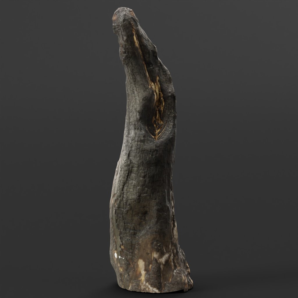 Burnt Log 02 | FREE Environment Elements models | BlenderKit