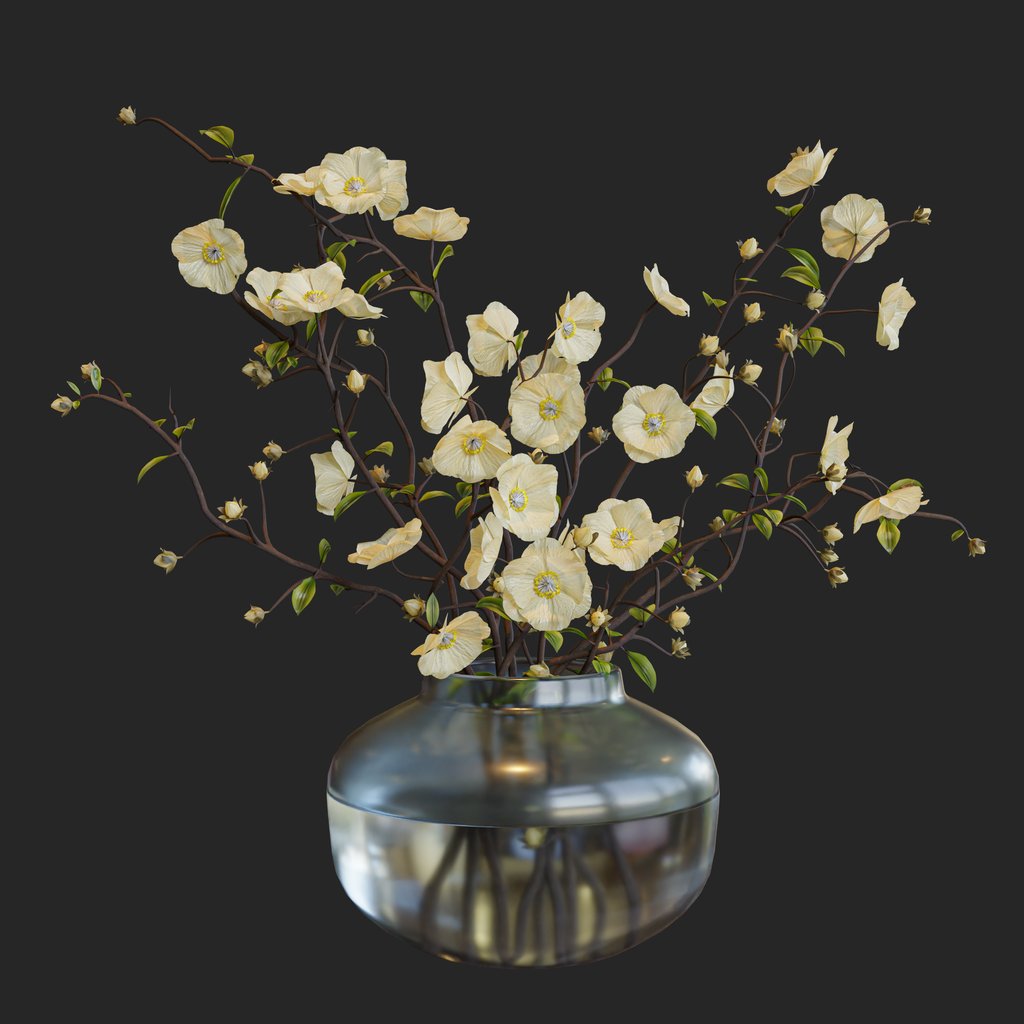 Plant | Indoor Plants models | BlenderKit