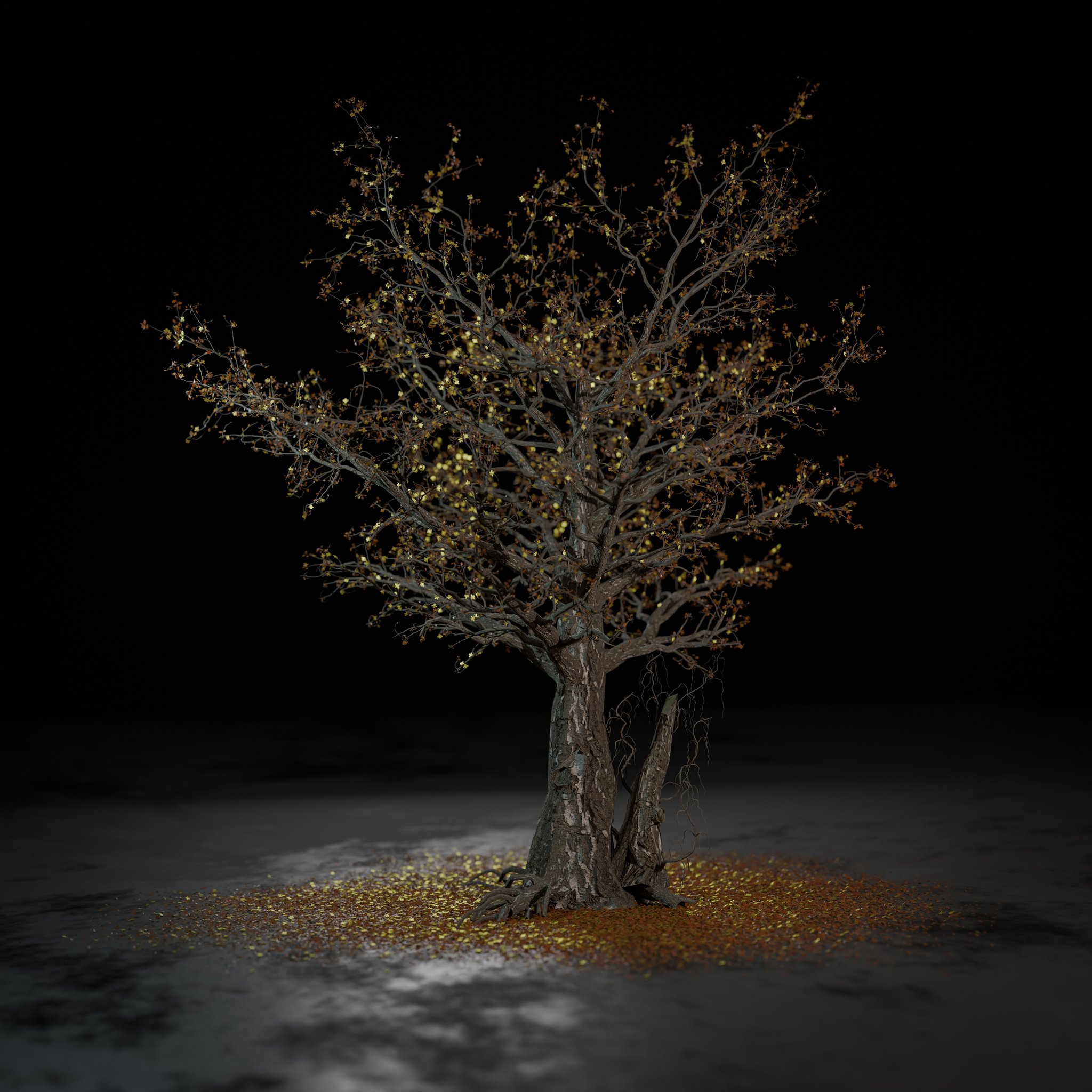 Maple tree | Trees models | BlenderKit