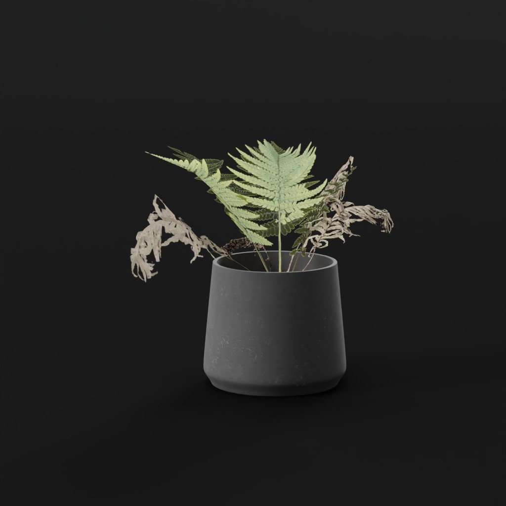 Lady Fern Tiny Potted | Indoor Plants models | BlenderKit