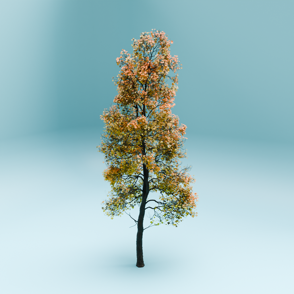 Forest | FREE Trees models | BlenderKit